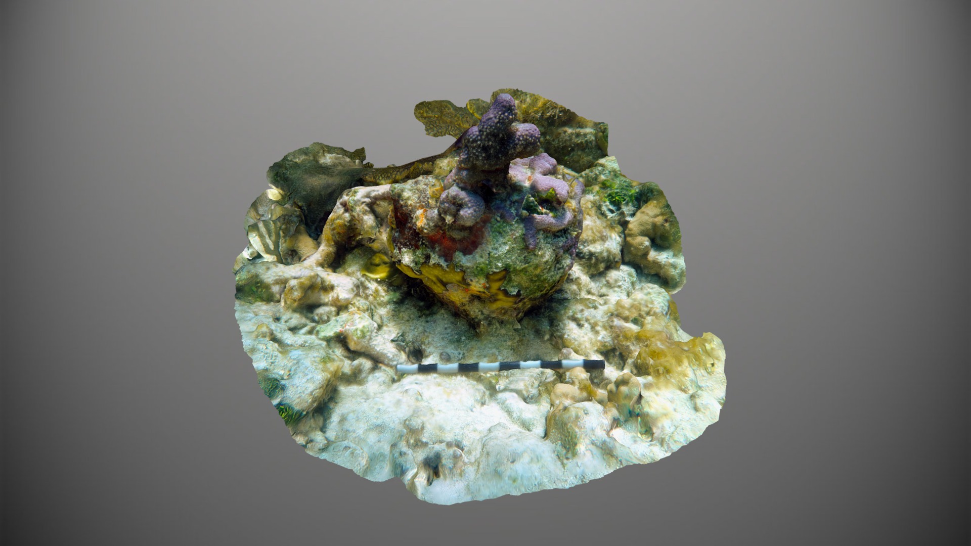 Nimble Iron Round Shot No. 3 (2018) - 3D model by The Mel Fisher ...