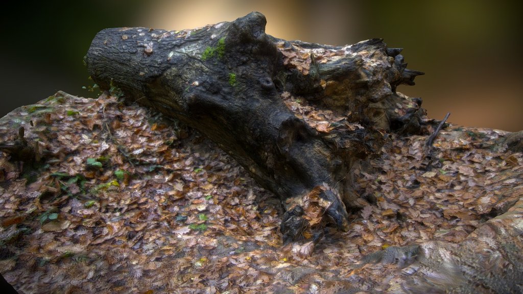 Large Tree Stump Fall - 3D model by Bex (@bexfx) [8a9a060] - Sketchfab