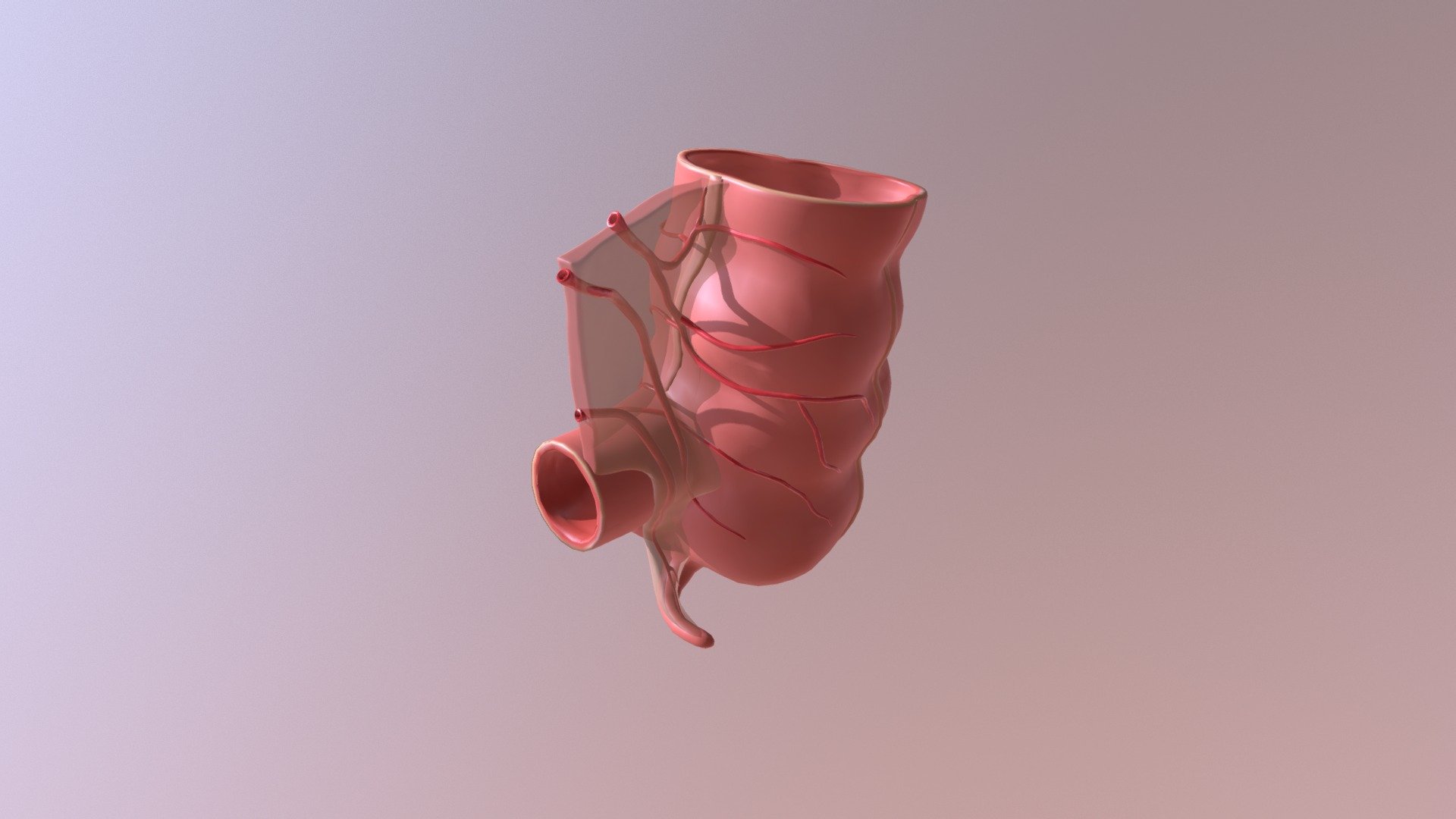 Appendix - 3D model by sunnyboy2002 [8aa0146] - Sketchfab