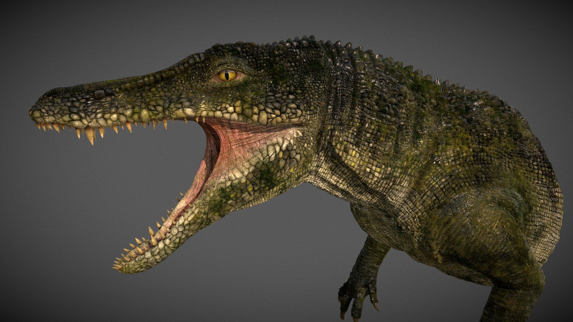 Carolina Butcher Head - Download Free 3D model by Julian Johnson ...