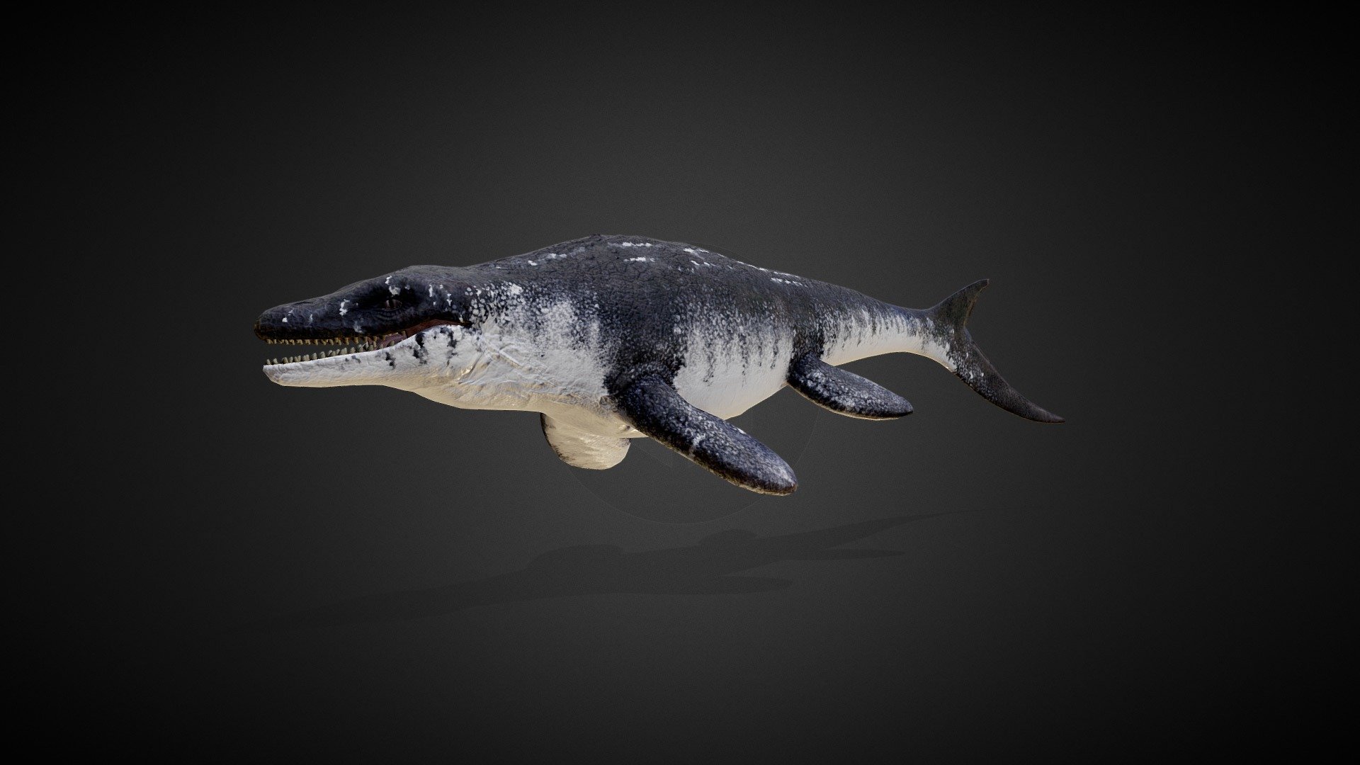 Sea monster - 3D model by vitascky [8aa69f5] - Sketchfab