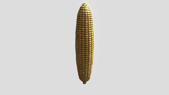 Corncob 3D models - Sketchfab
