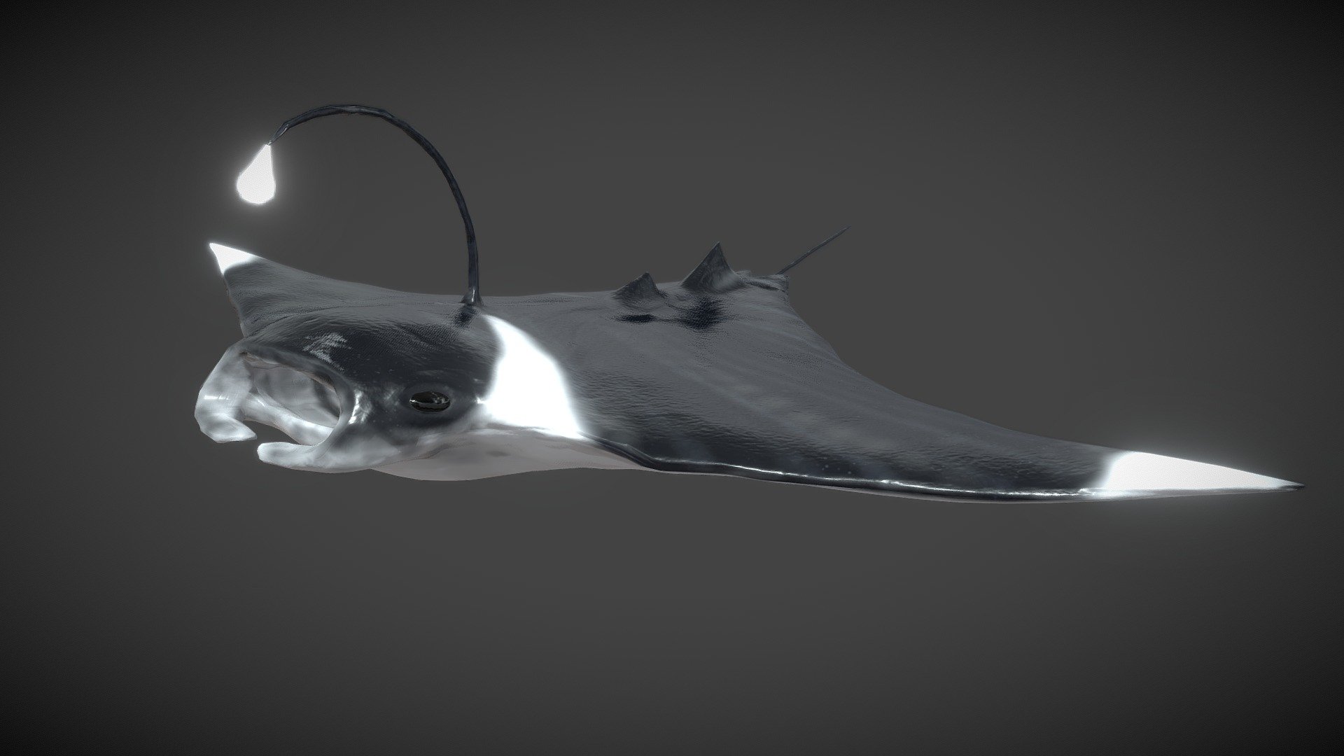 Underwater Scene - Manta Ray (Posed) - Download Free 3D model by ...
