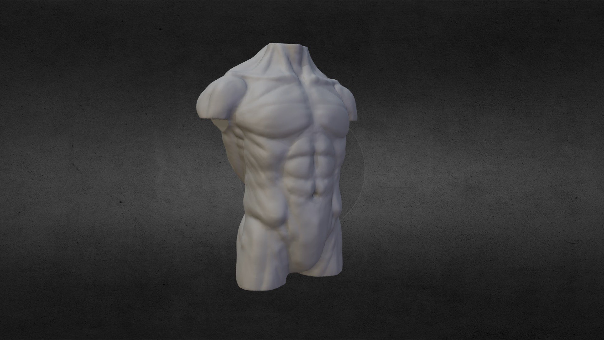 Torso - 3D model by Nick.R.Girard [8abfe8c] - Sketchfab