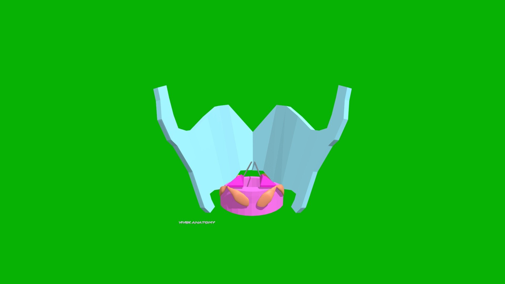 Larynx Vocal cord animation - 3D model by VivekAnatomy [8ac5729 ...