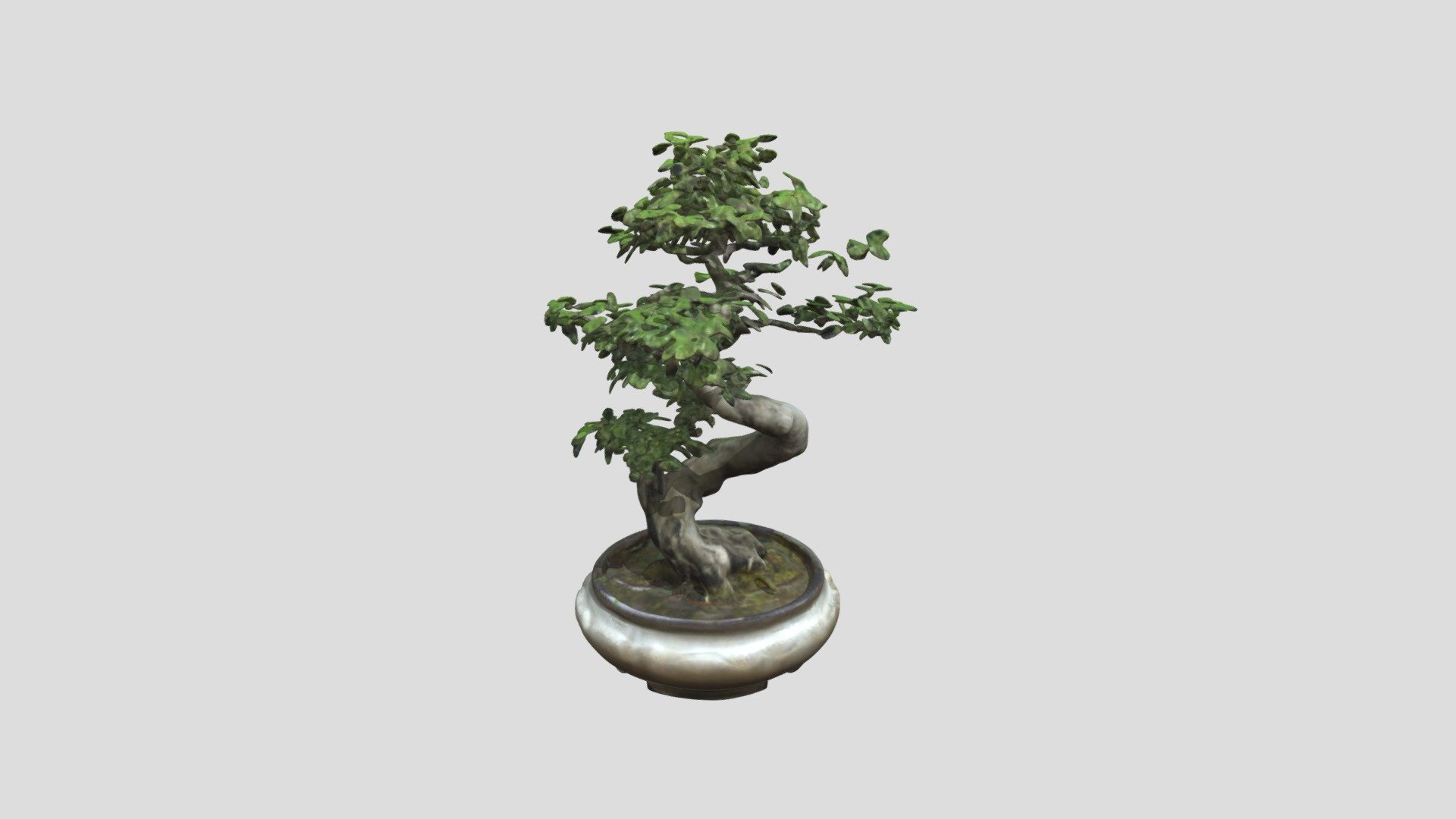 Miniature Bonsai Tree - Download Free 3D model by yawerbop2023 [8acb927 ...