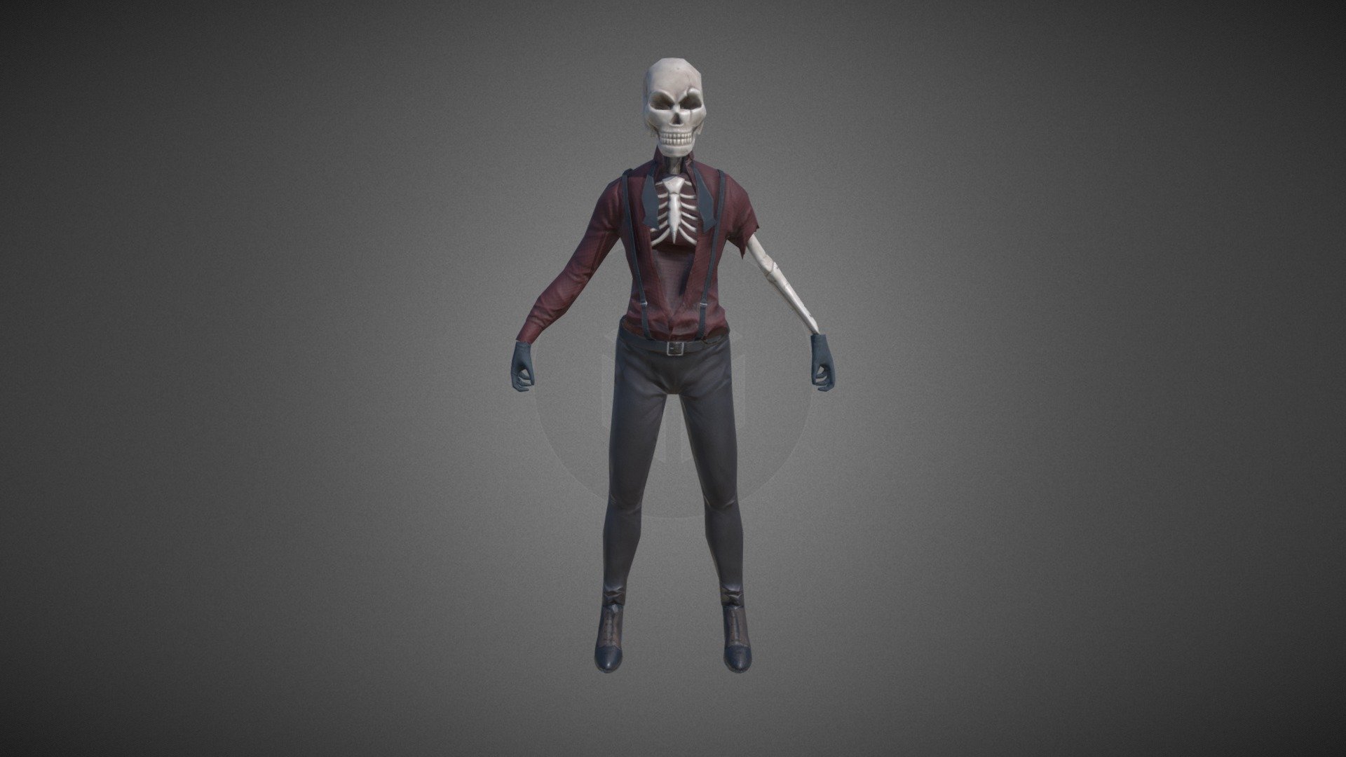 Skeleton - Tpose - 3D model by CharlineSacre [8accd96] - Sketchfab