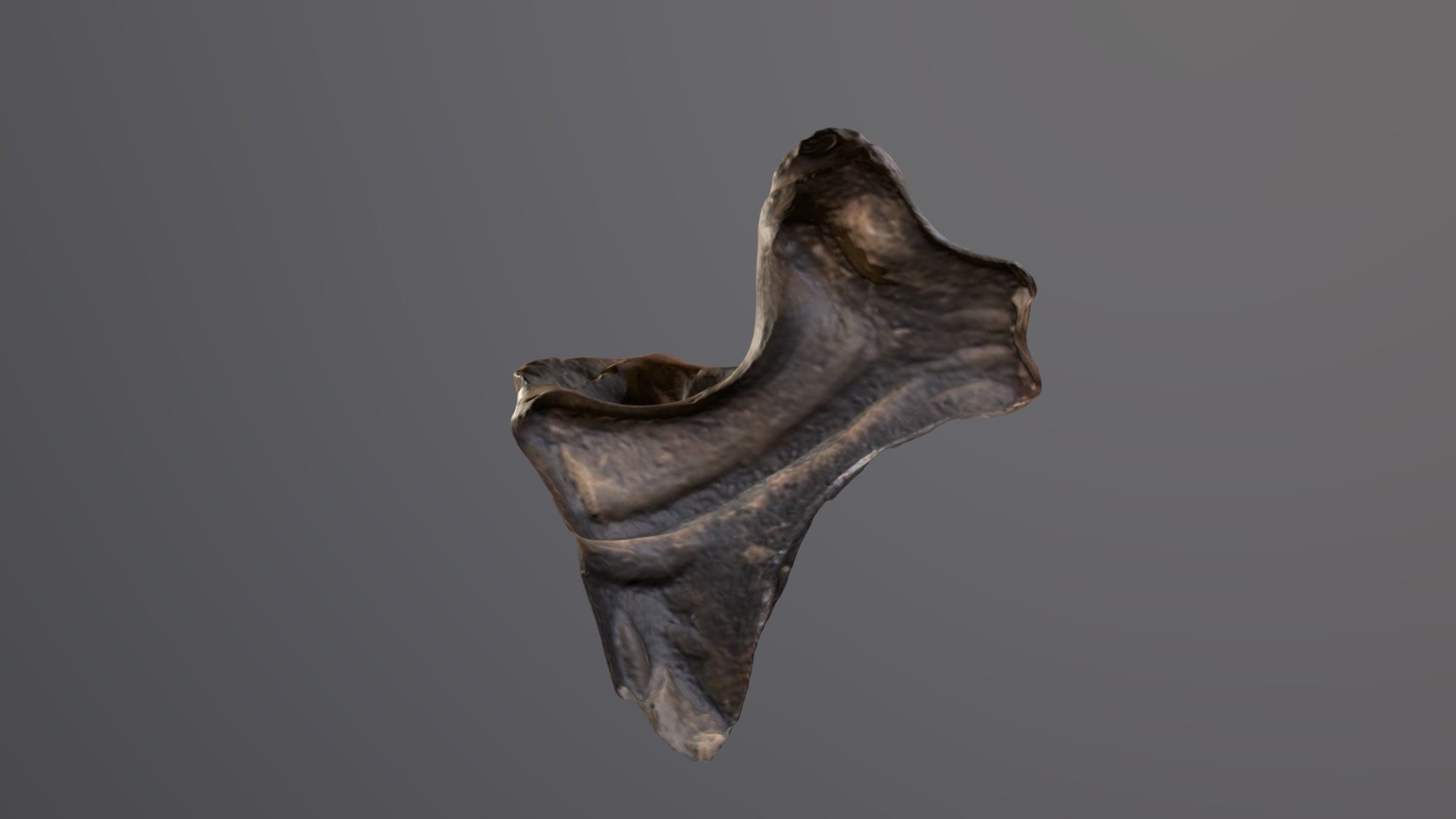 pinch-face smoking pipe (L929.2.7) - 3D model by Royal Ontario Museum ...