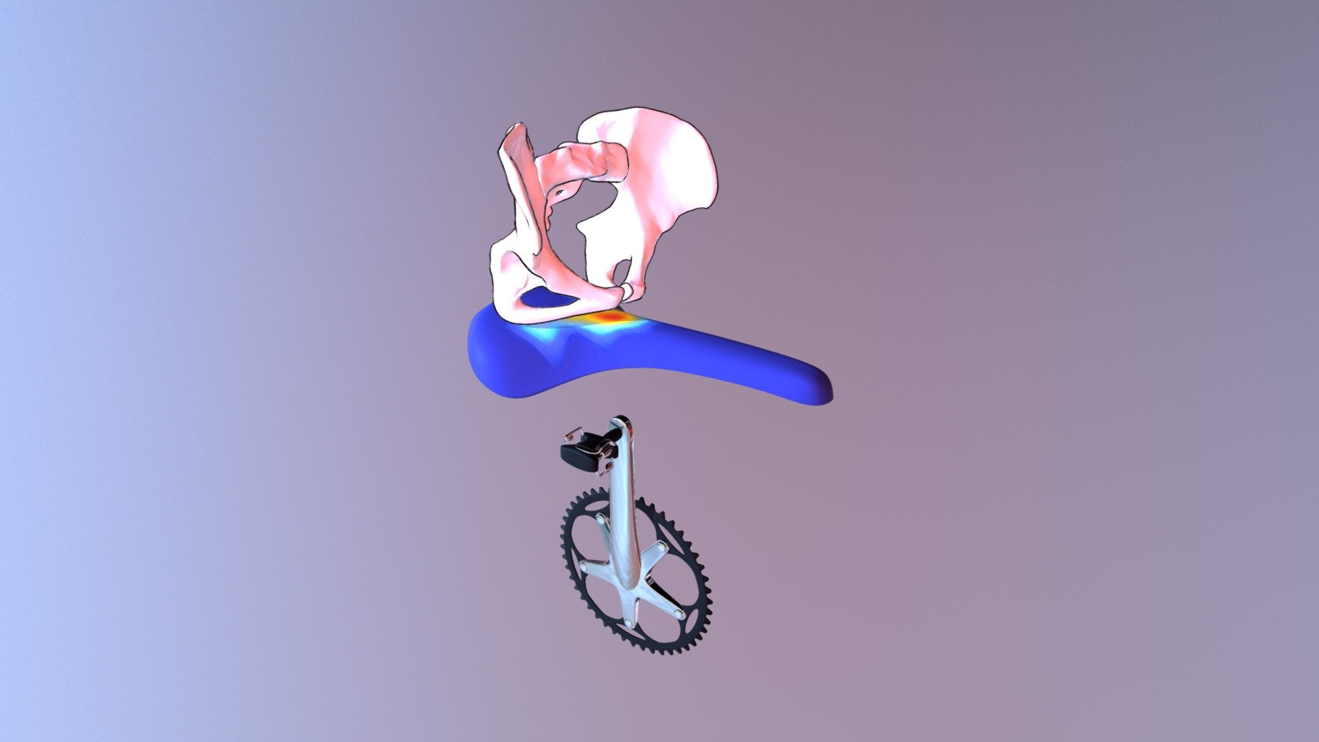 Pelvic Female Cycling Motion - 3D model by joshcohen [8ad4bbc] - Sketchfab