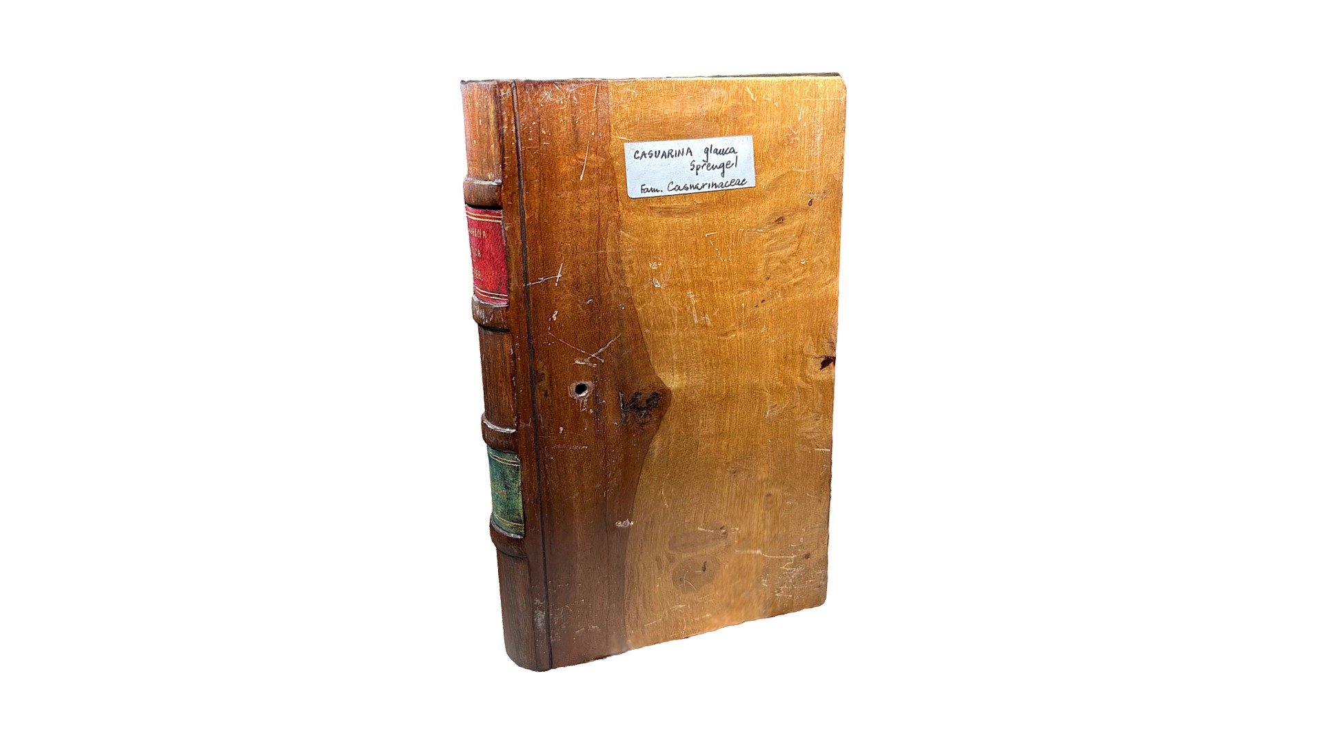 Wood Book - grey bulloak - 3D model by Queen Victoria Museum and Art ...