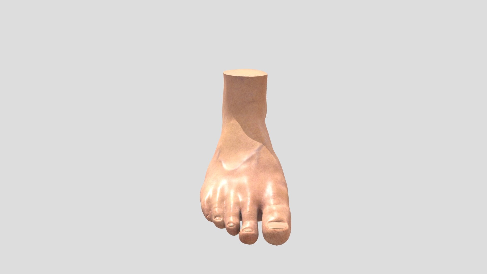 foot sculpt - 3D model by sxvva [8ad6b27] - Sketchfab