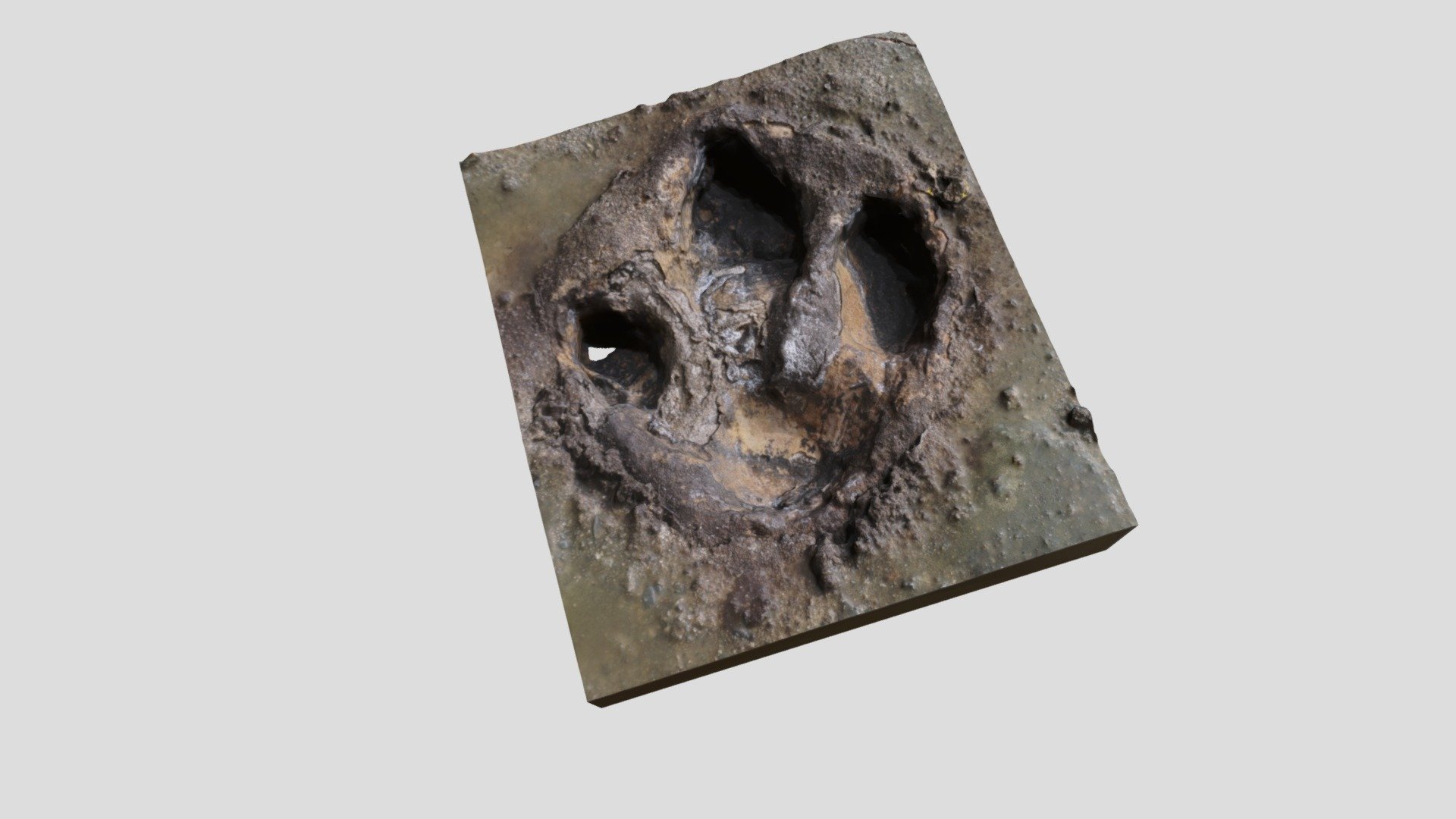 Tapir Footprint - 3D model by PeterFalkingham (@pfalkingham1) [8aea5ee ...