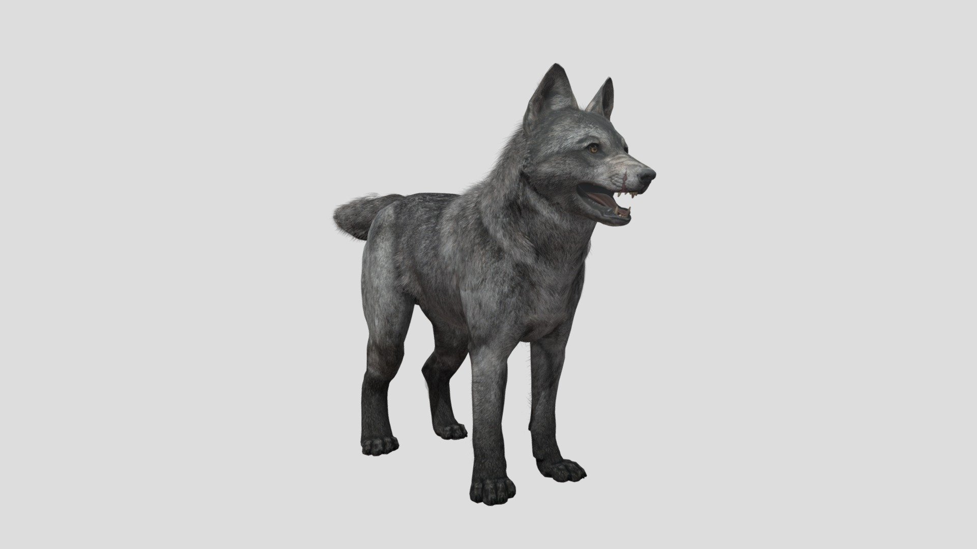 [Fan-made] COD: Ghost's Wolf Pup - Download Free 3D model by ...
