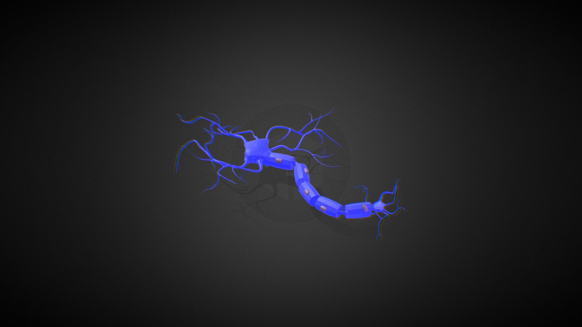Neuron - 3D model by heavy_med_ill [8aeec8b] - Sketchfab