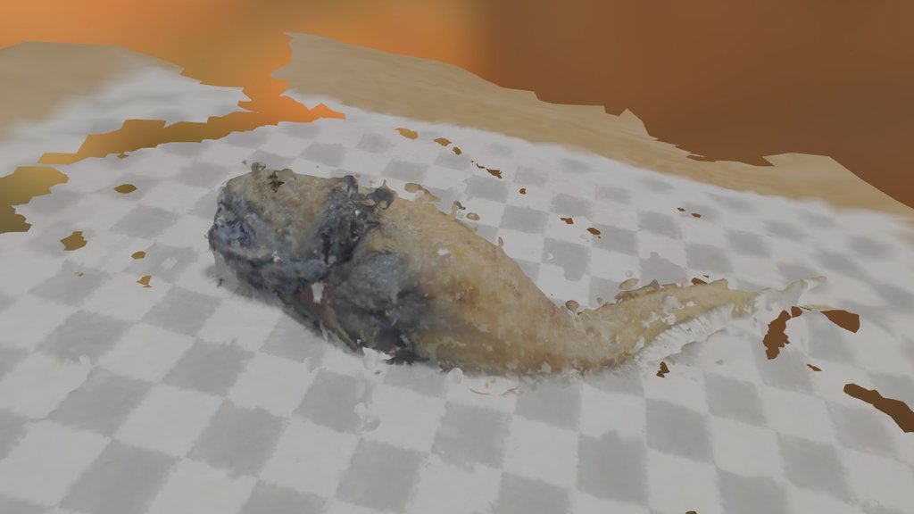 MP-fish-video - 3D model by aberdeenmarinestudents [8aefb38] - Sketchfab