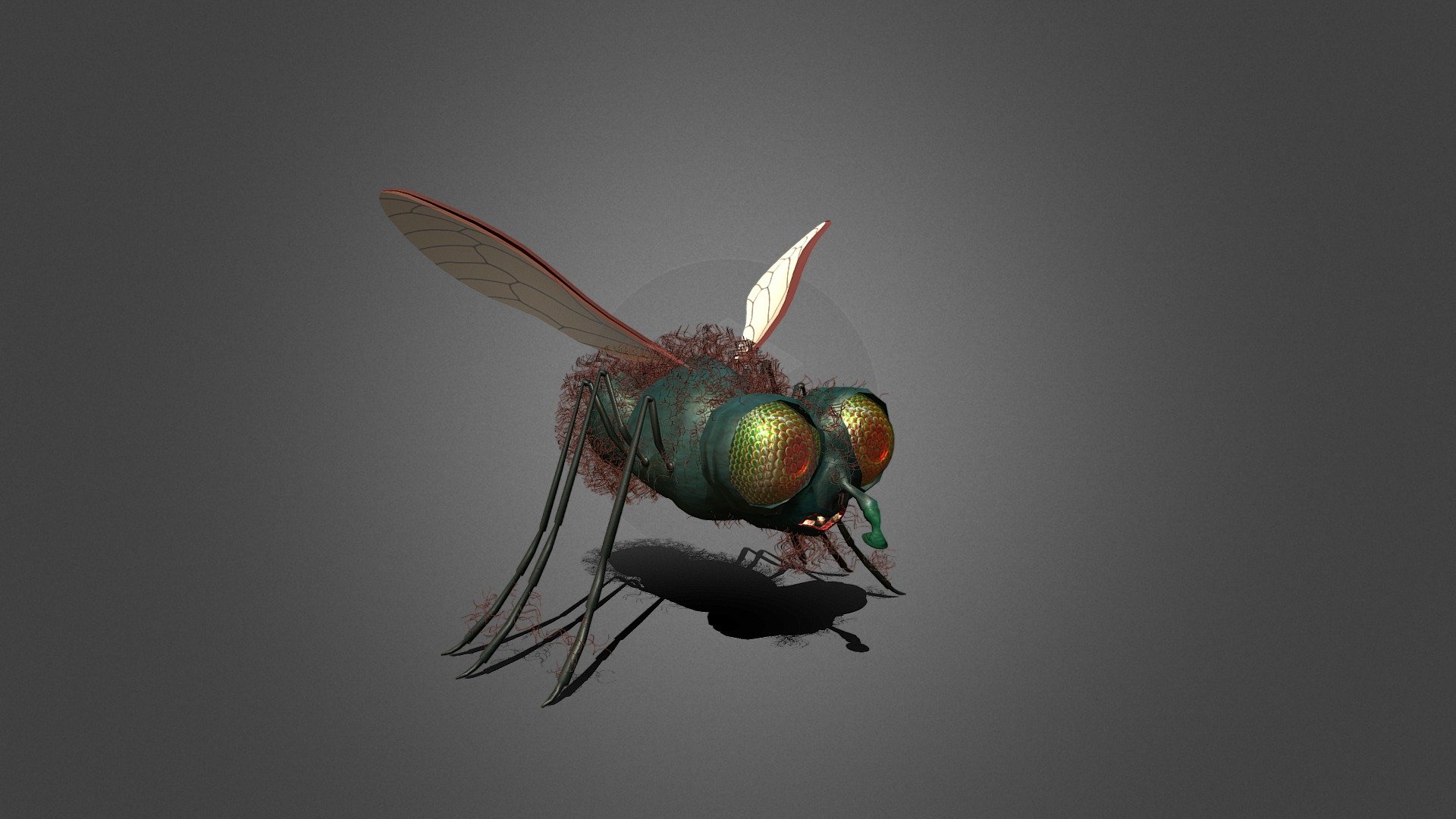 Fly - Buy Royalty Free 3D model by pinotoon [8af98da] - Sketchfab Store