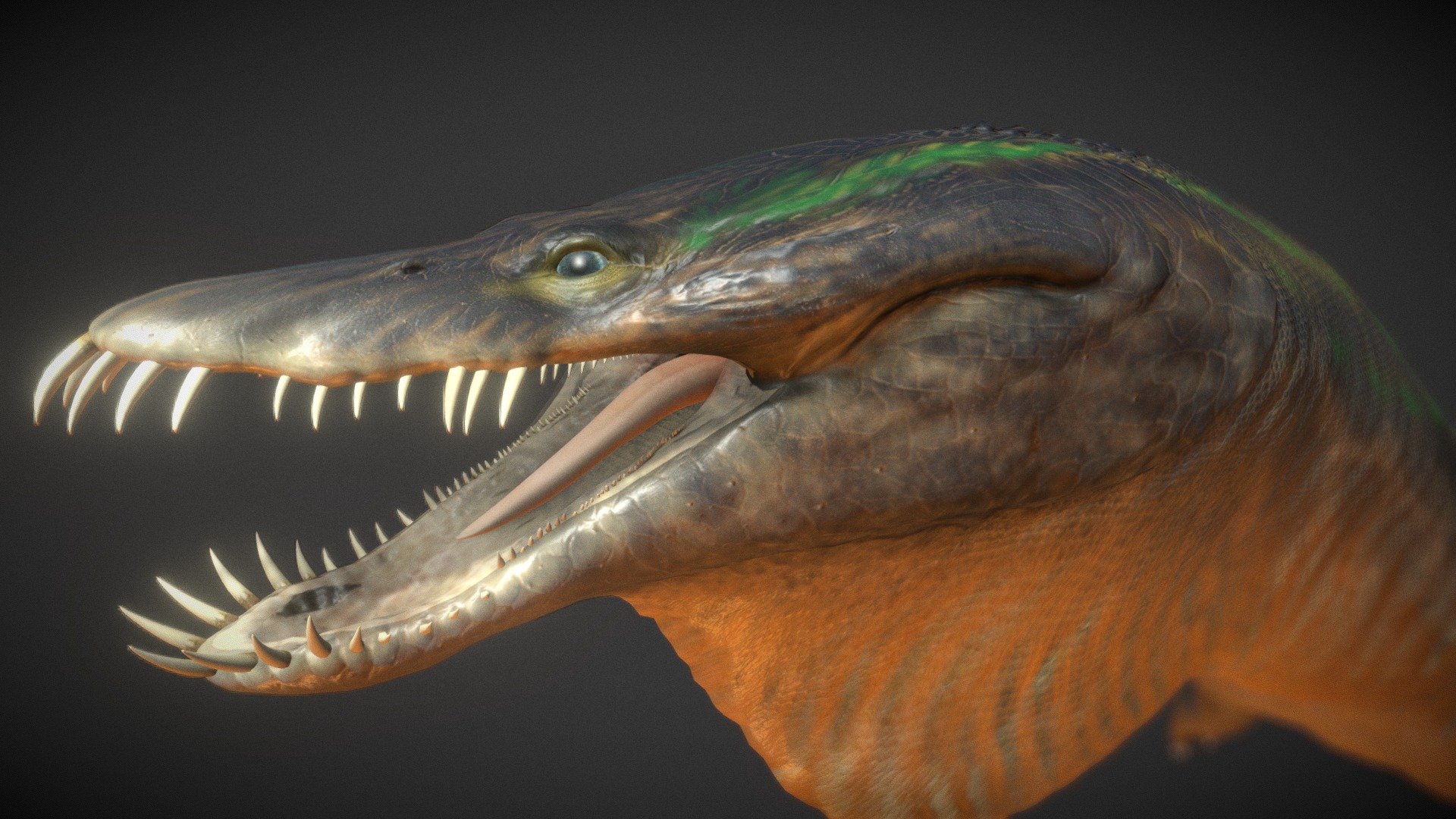 Nothosaurus - Buy Royalty Free 3D model by robertfabiani [8afaebe ...