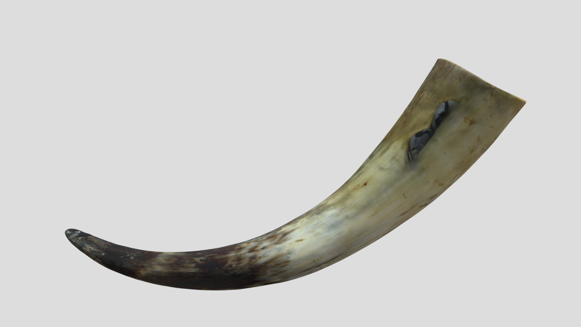 Feasting horn - 3D model by Aberdeen City Libraries ...