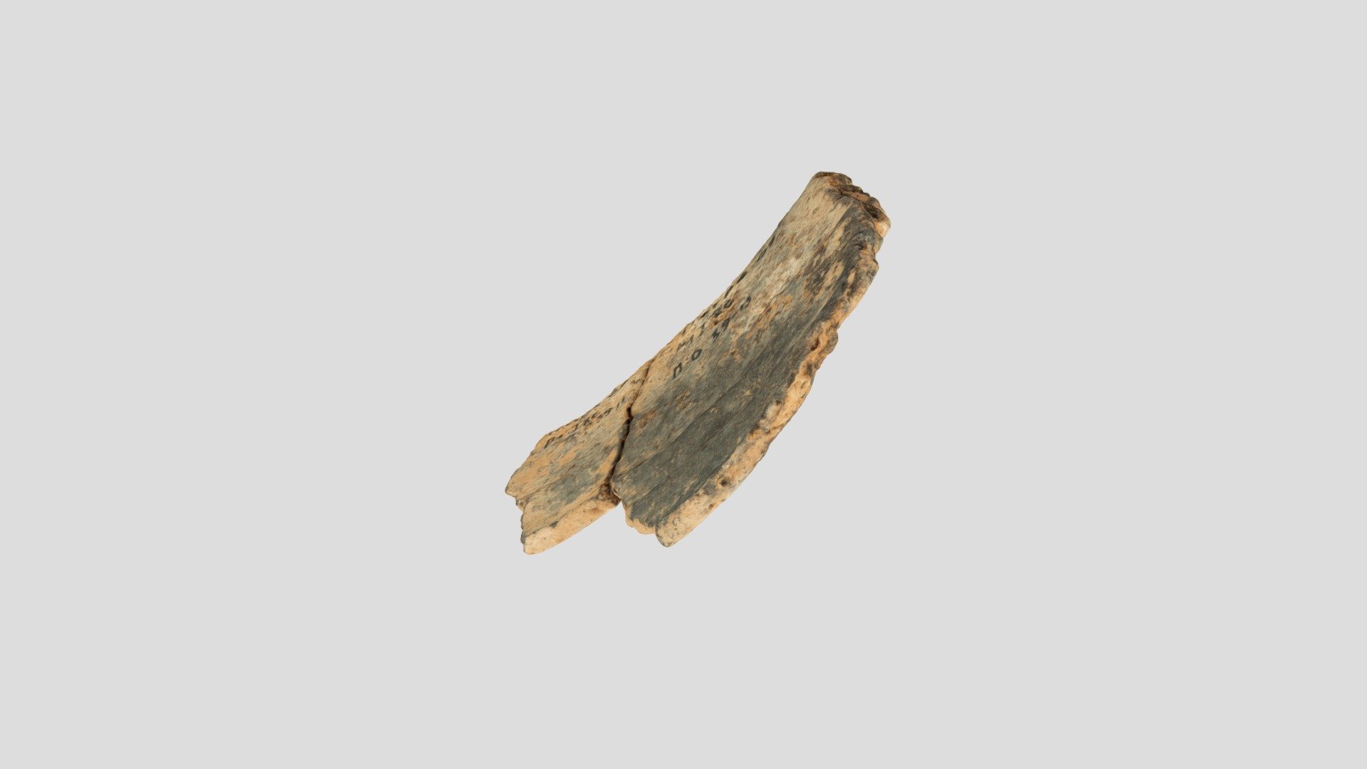 444445 - 3D model by username27342734 [8b0e894] - Sketchfab