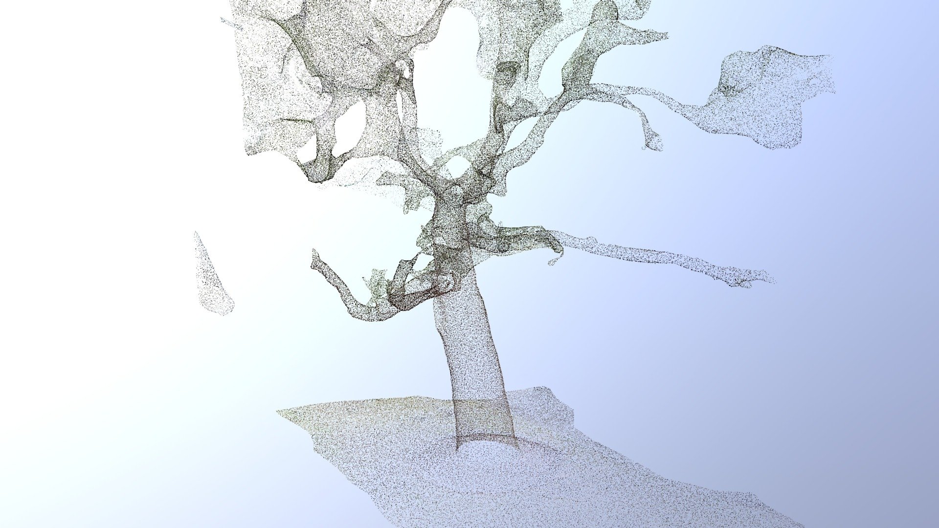 Massive Tree Point Cloud - Download Free 3D model by stevencmutter ...