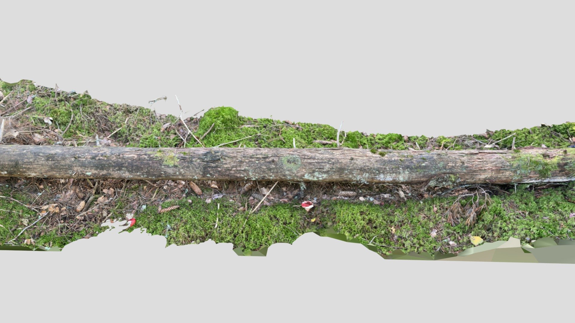 Large Tree Log - Forest - Download Free 3D model by Majzim [8b1a350 ...