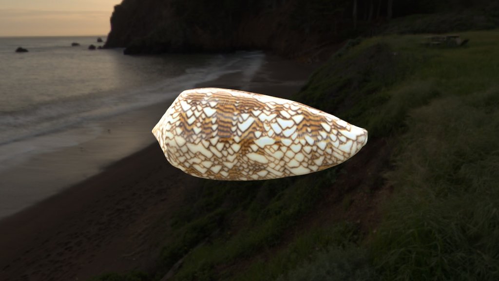 Mountain Shell - Download Free 3D model by HoneyPoint3D (@nkloski ...