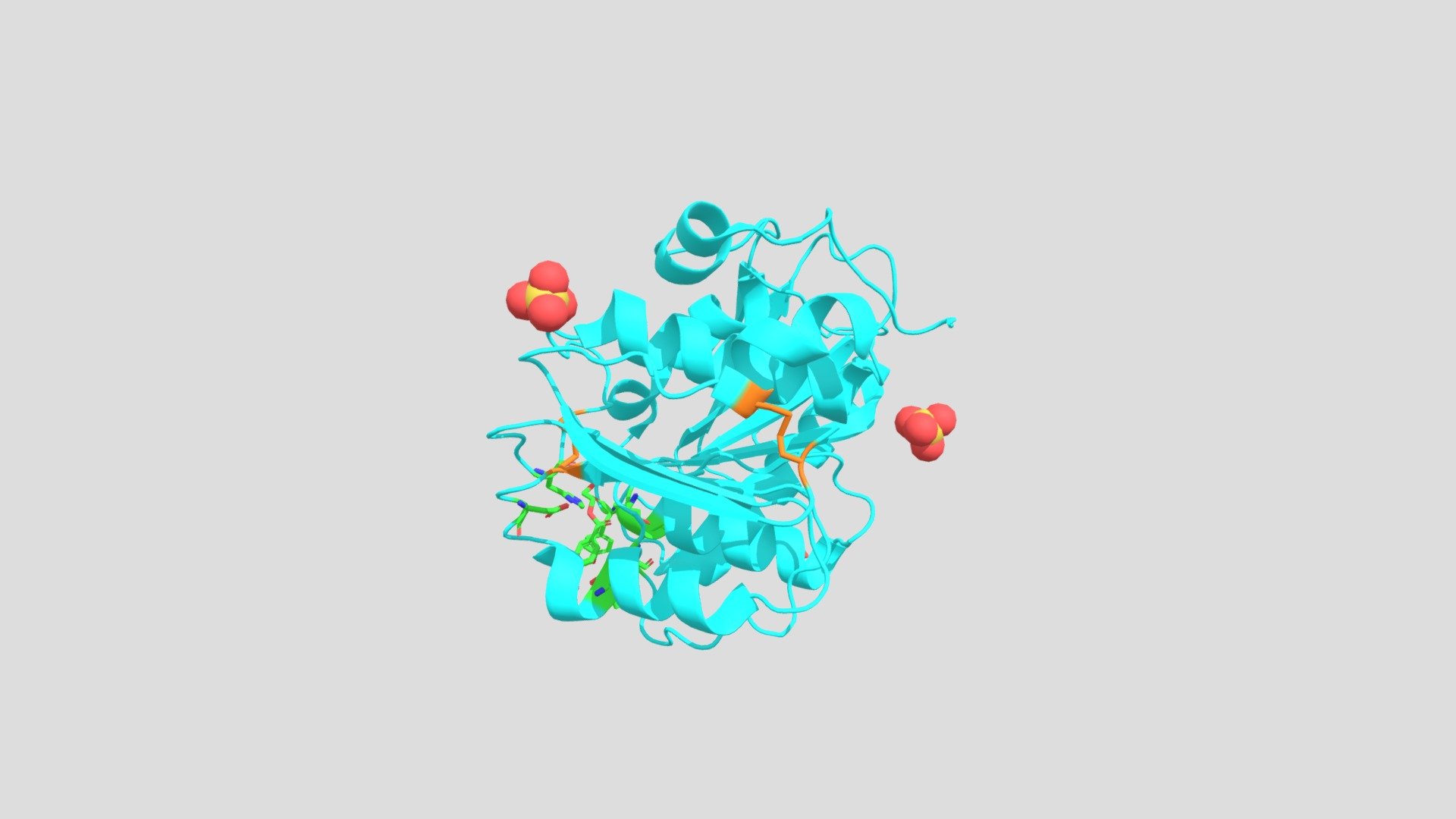 PETase Molecule Pymol FIRST LABELLED DRAFT - 3D model by mooreanna1 ...