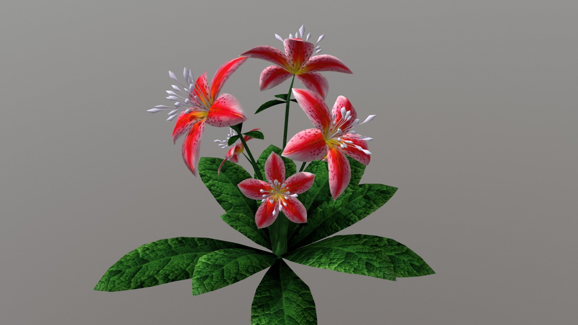 LW_Lily Plant - 3D model by LovedWarrior [8b2a894] - Sketchfab
