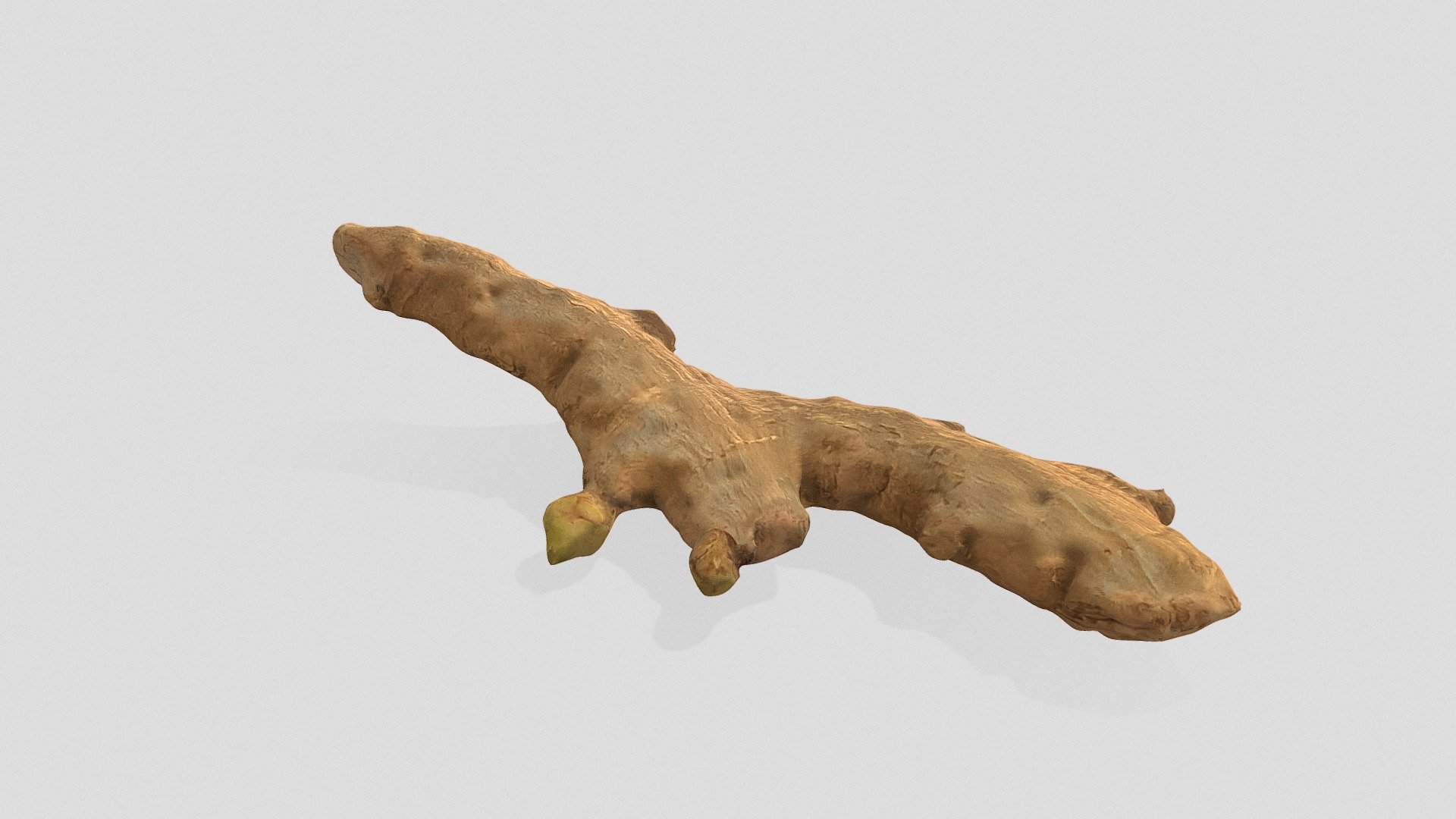 Ginger - Download Free 3D model by barlowski [8b2c3e2] - Sketchfab