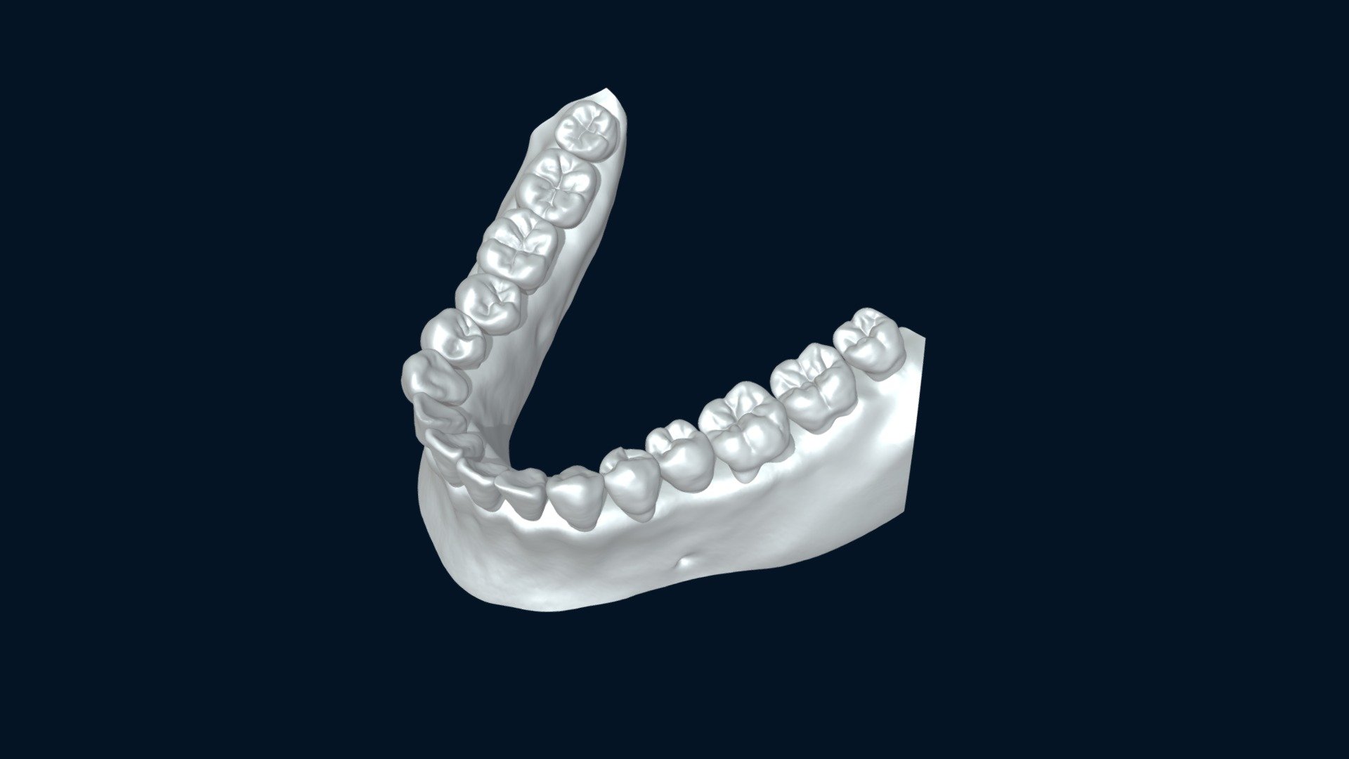 Anatomical Lower Teeth Dental Model - 3D Sculpt - 3D model by Hayashiya ...