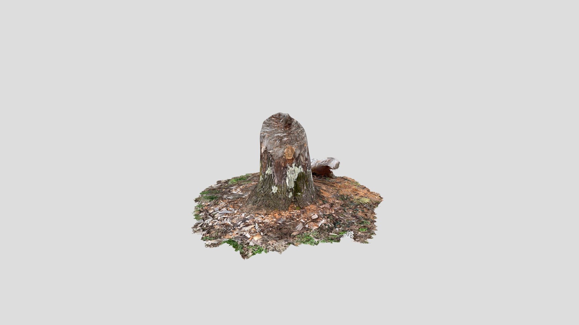 Tree stump/log free model - Download Free 3D model by edanbirkemeier1 ...