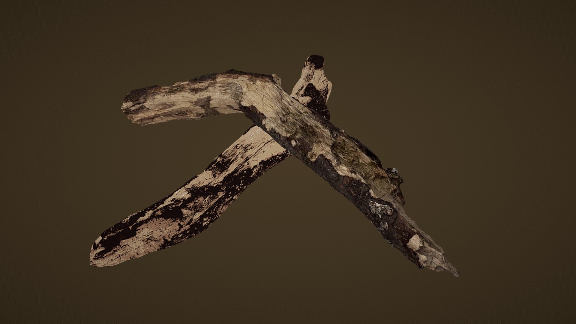 3D Scanned Branch Raw Scan + Retopo + "Toon" - Download Free 3D model ...