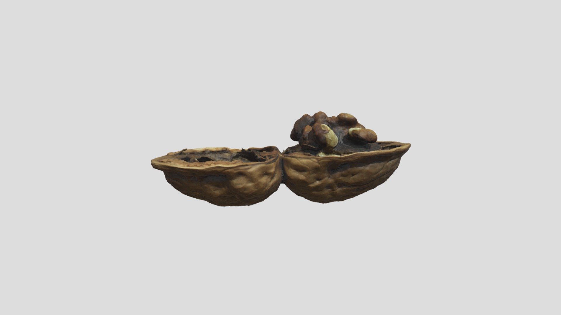 Walnut - 3D model by Studio Studio (@5136y13) [8b5076a] - Sketchfab