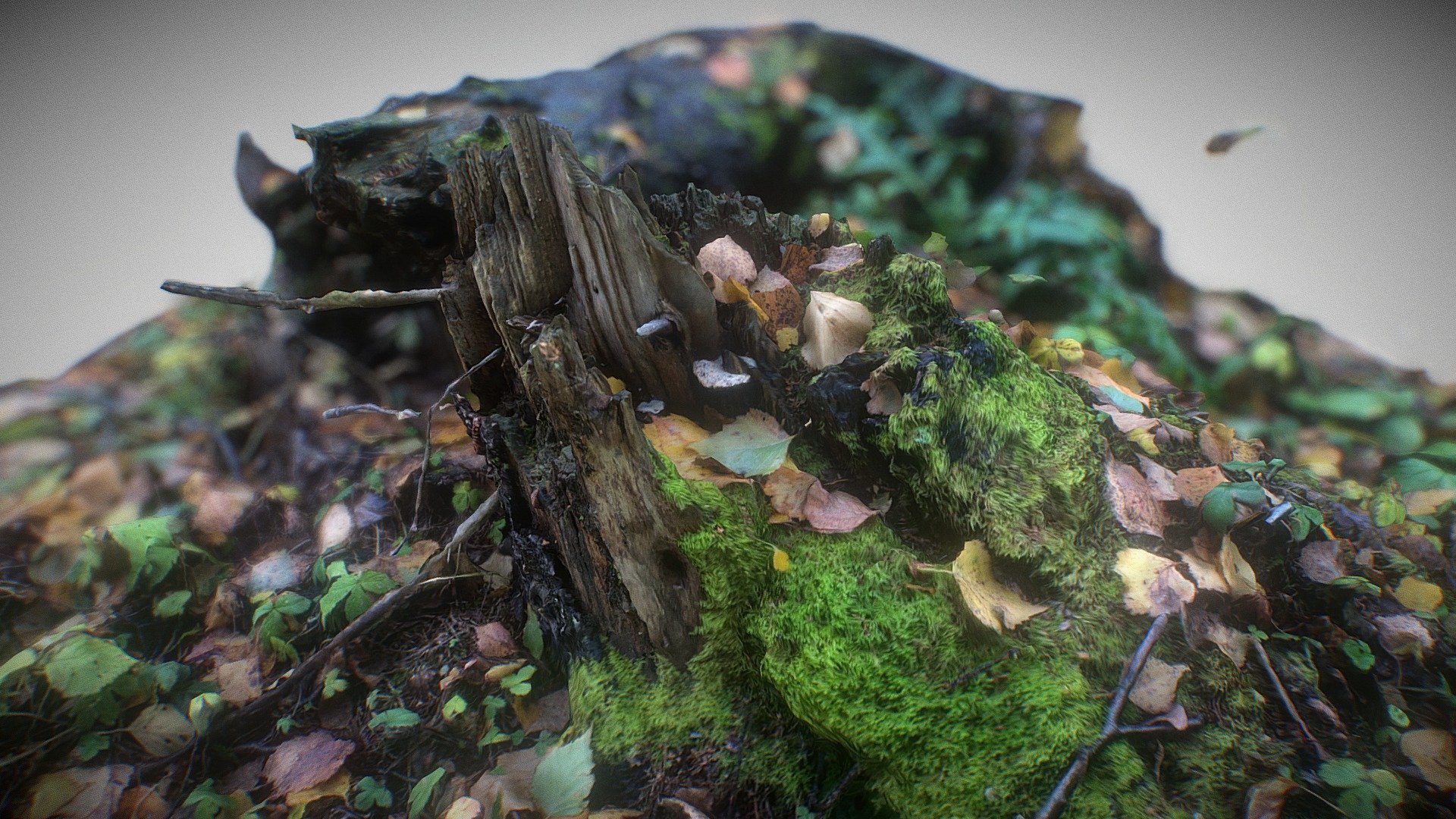 Mossy tree stump photoscan - Download Free 3D model by RobenSikk ...