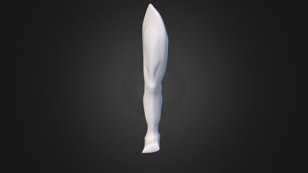 Leg Half Foot - 3D model by Sean (@schaughn) [8b5ecbf] - Sketchfab