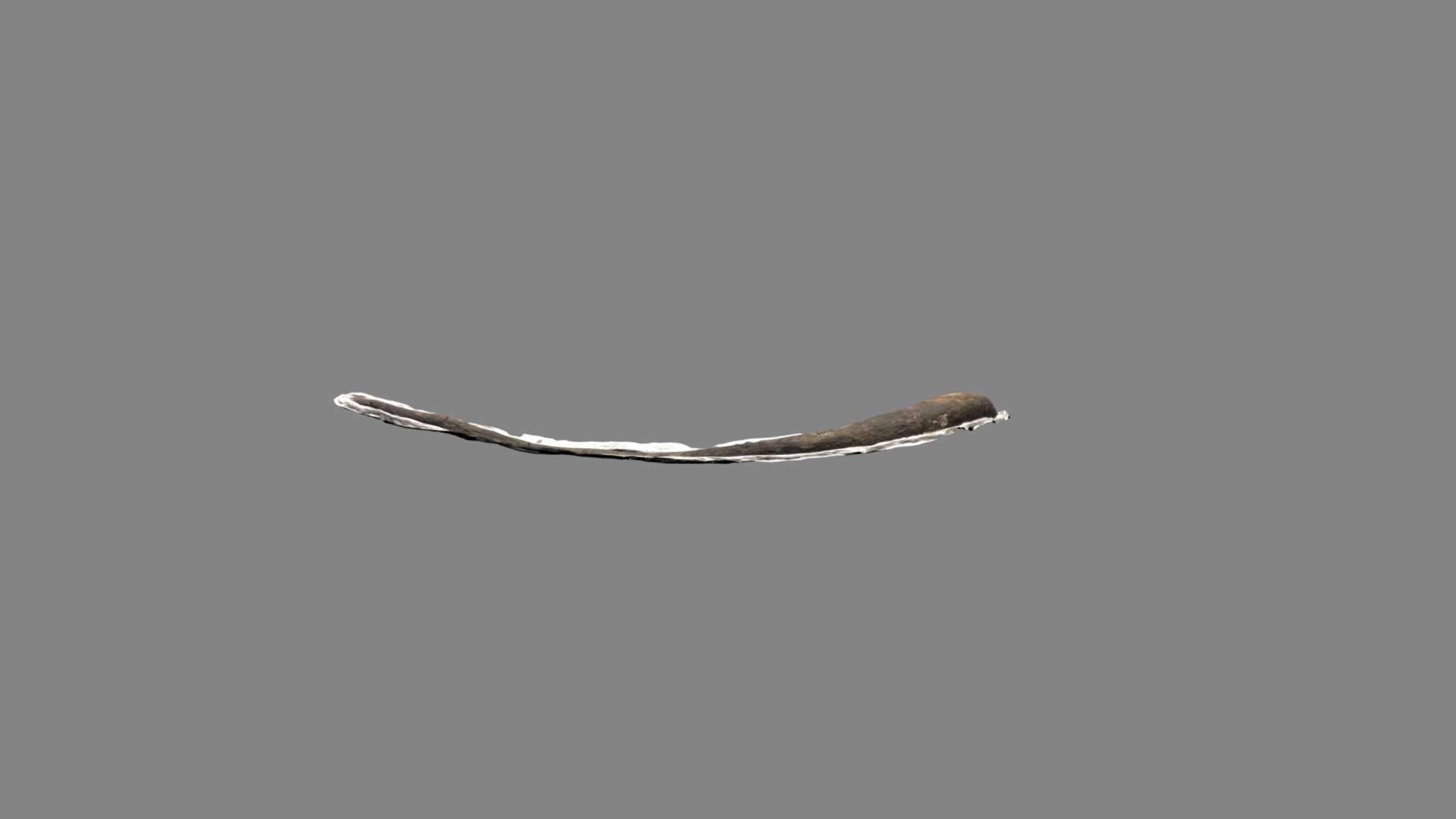 LSUMG_V17901_right_tusk - Download Free 3D model by ...