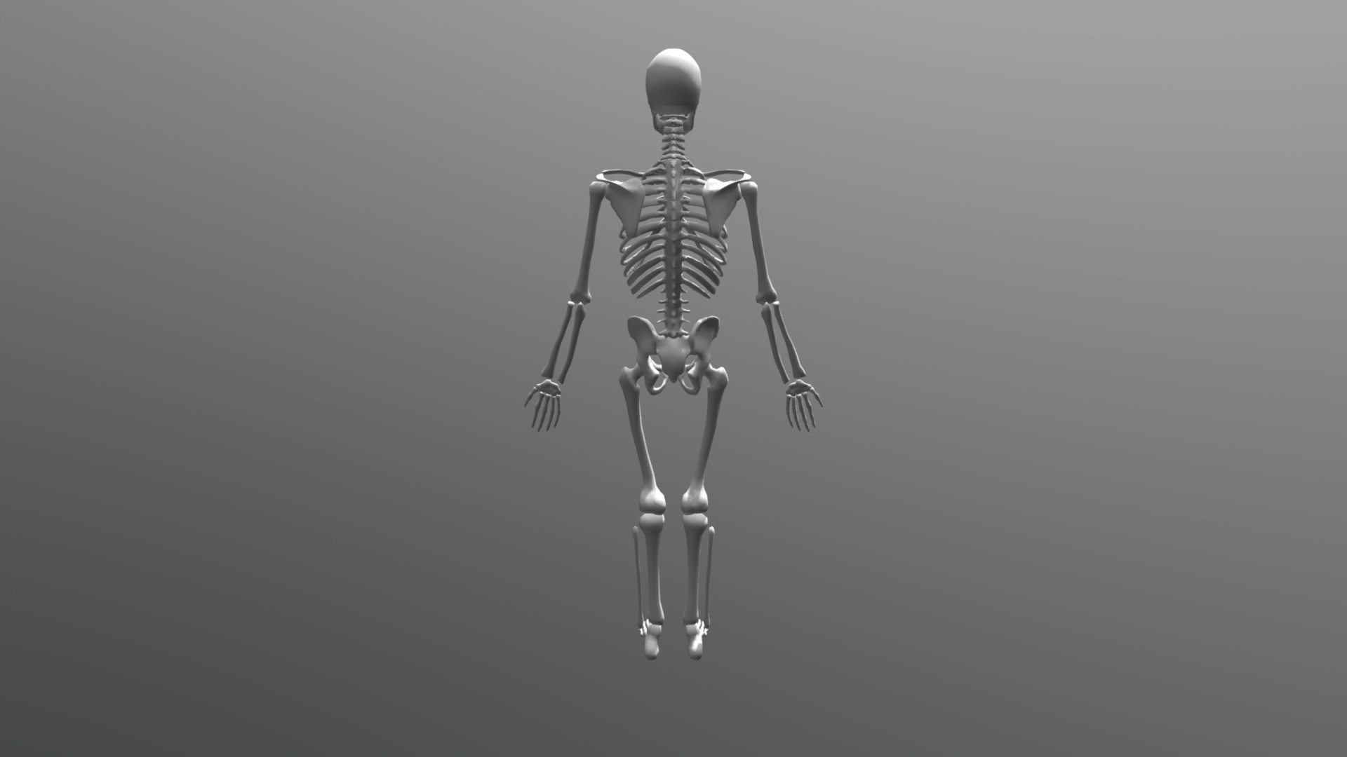 Low Poly Caly - 3D model by yuv [8b60dc3] - Sketchfab