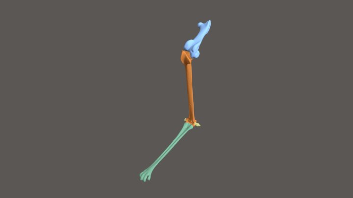 Emu 3D models - Sketchfab