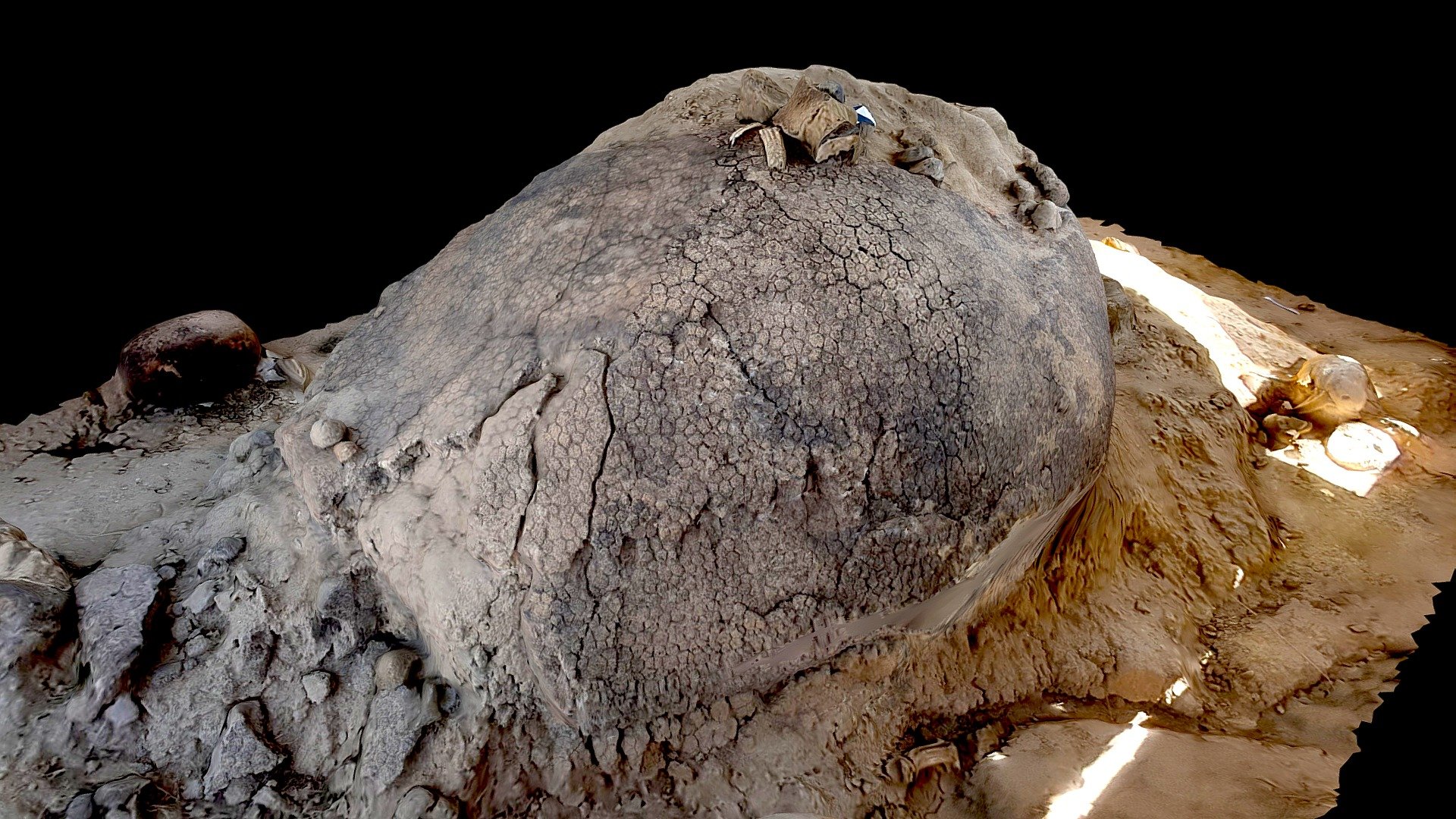 Caparazón de Gliptodonte fosilizado - Download Free 3D model by Eddy ...