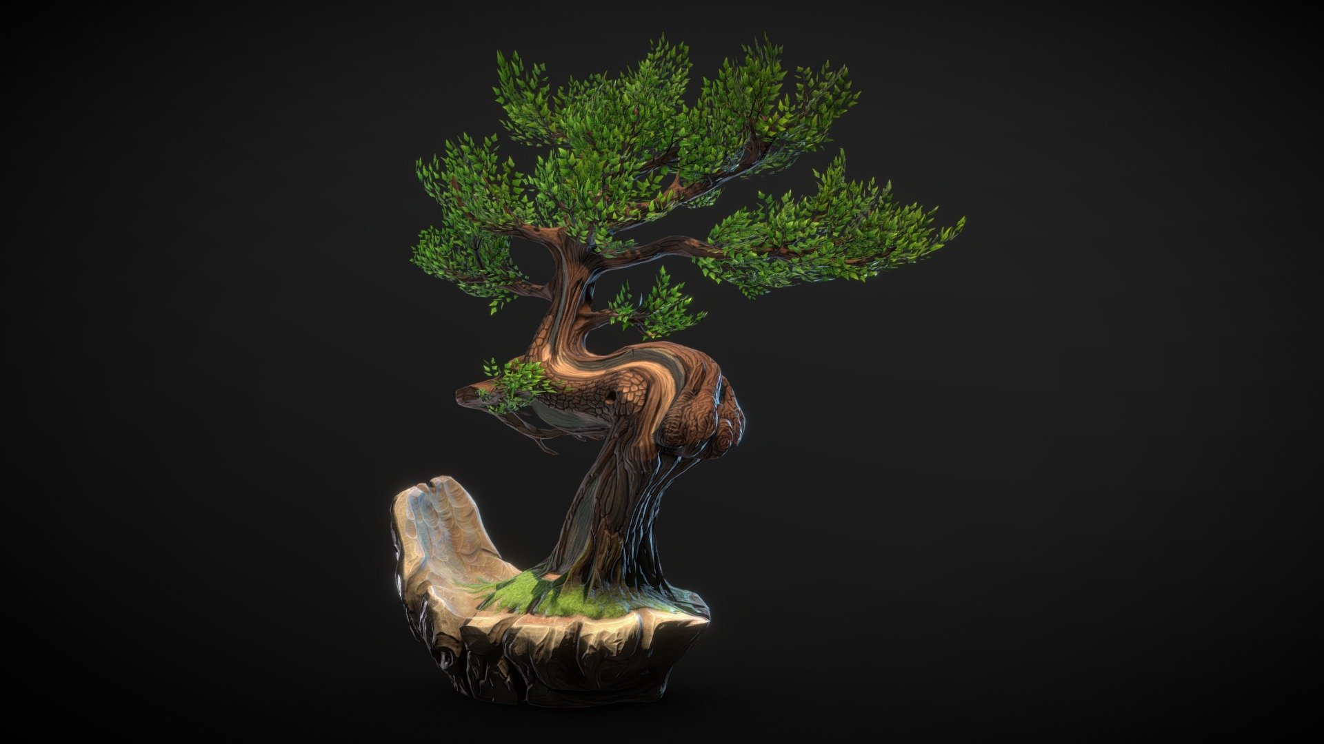 Bonsai - Download Free 3D model by Vermos [8b73fd9] - Sketchfab