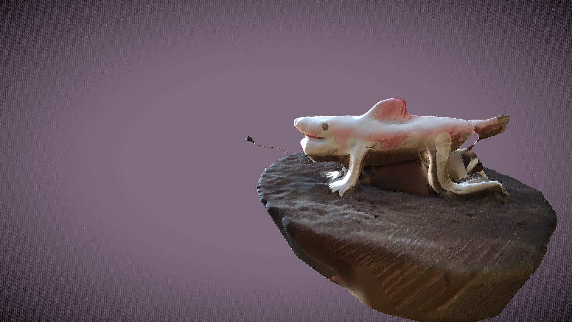 cursed shark - Download Free 3D model by pála vedcom (@MMMM12345) [8b75b8b] - Sketchfab