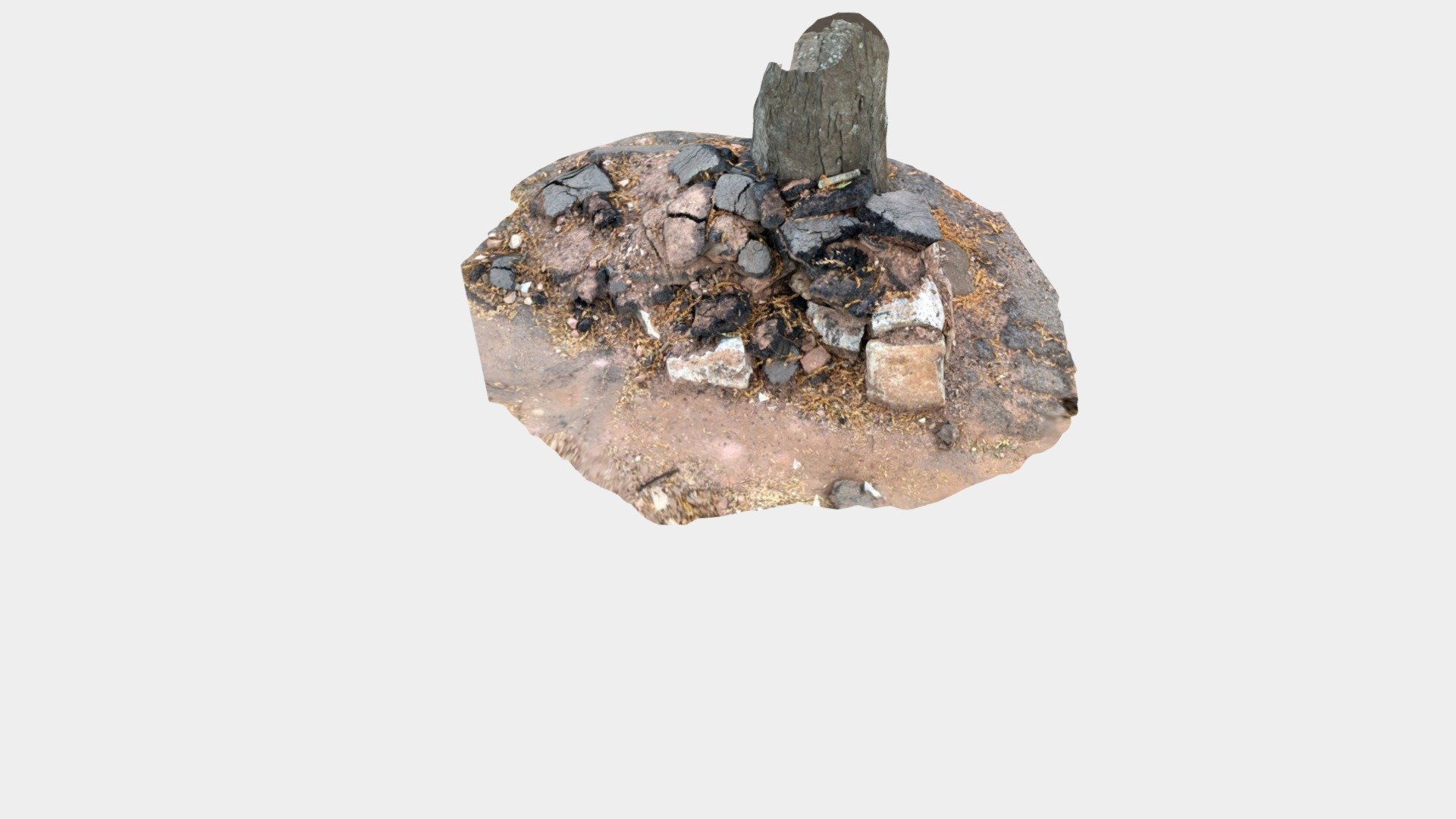 G3_Tar + Tree - 3D model by brigitta.stonedesign [8b76211] - Sketchfab