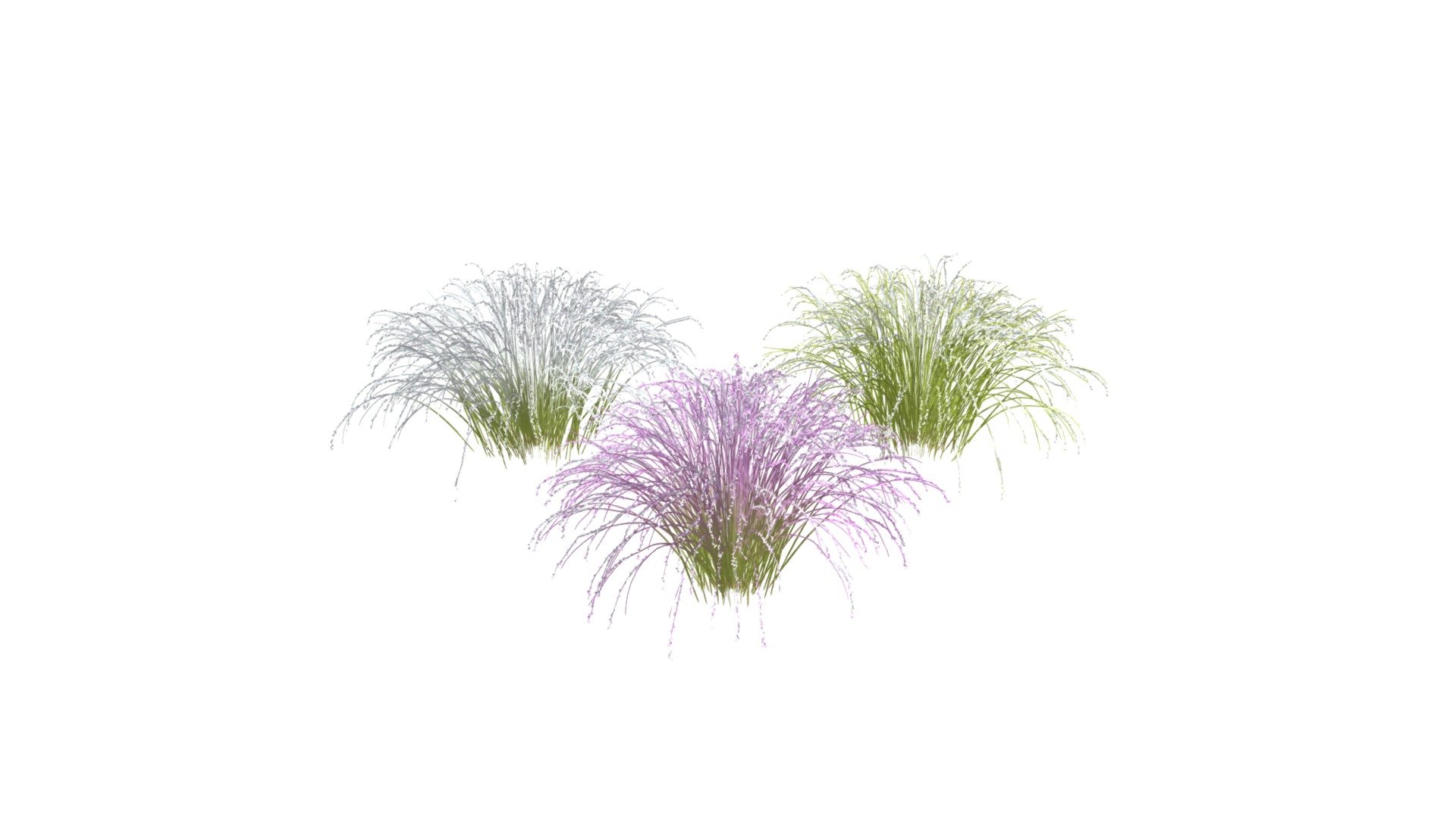 Purple Love Grass Collection - Buy Royalty Free 3D model by hkhalif ...