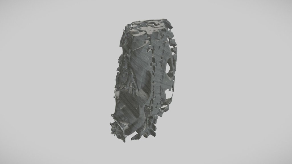 Spine Section Cut - 3D model by Wellness Computational ...