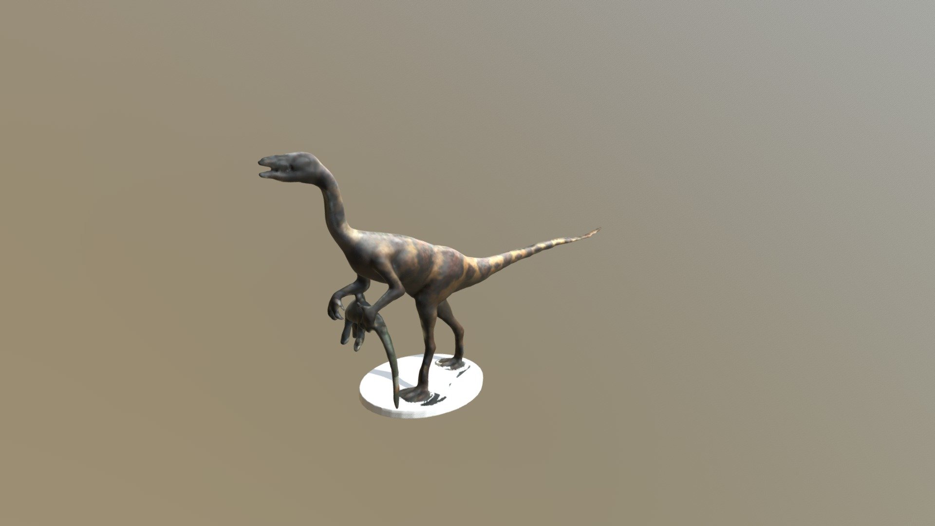 Coelophysis Dinosaur Replica (VCU_3D_3661) - 3D model by Virtual ...
