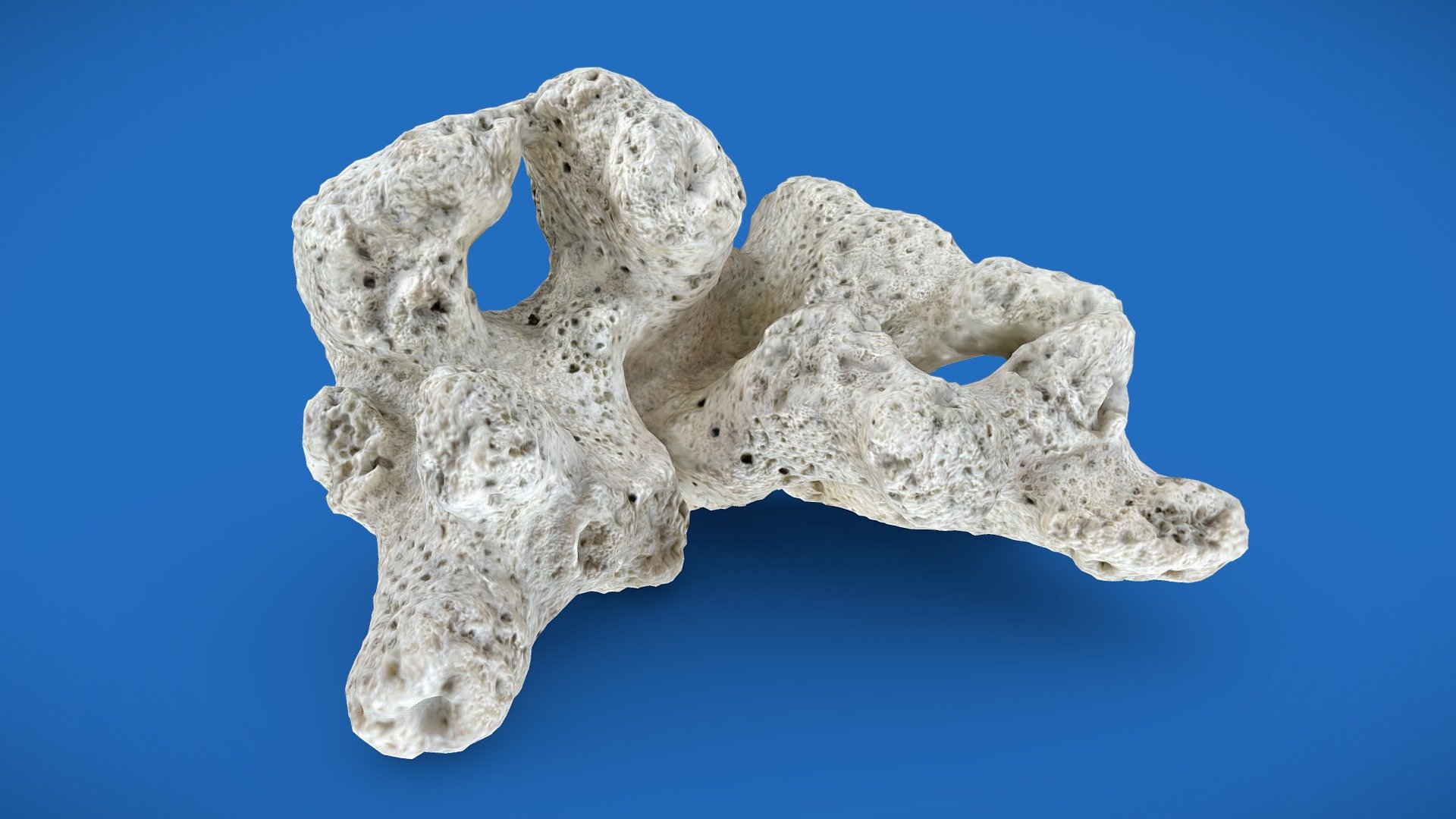 Coral Rock - 3D model by AnshiNoWara [8b9b240] - Sketchfab