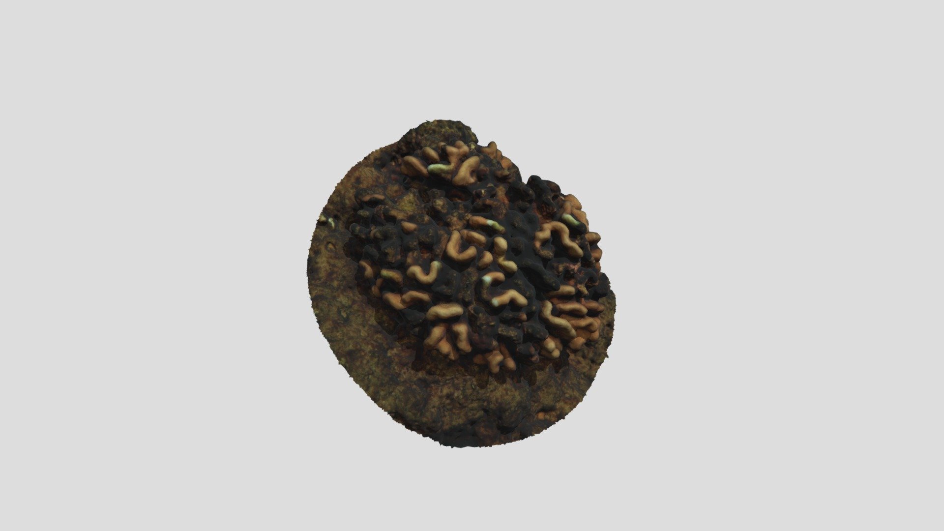 POC_ Ledge_PP - 3D model by dylan.a.brown123 [8b9be45] - Sketchfab