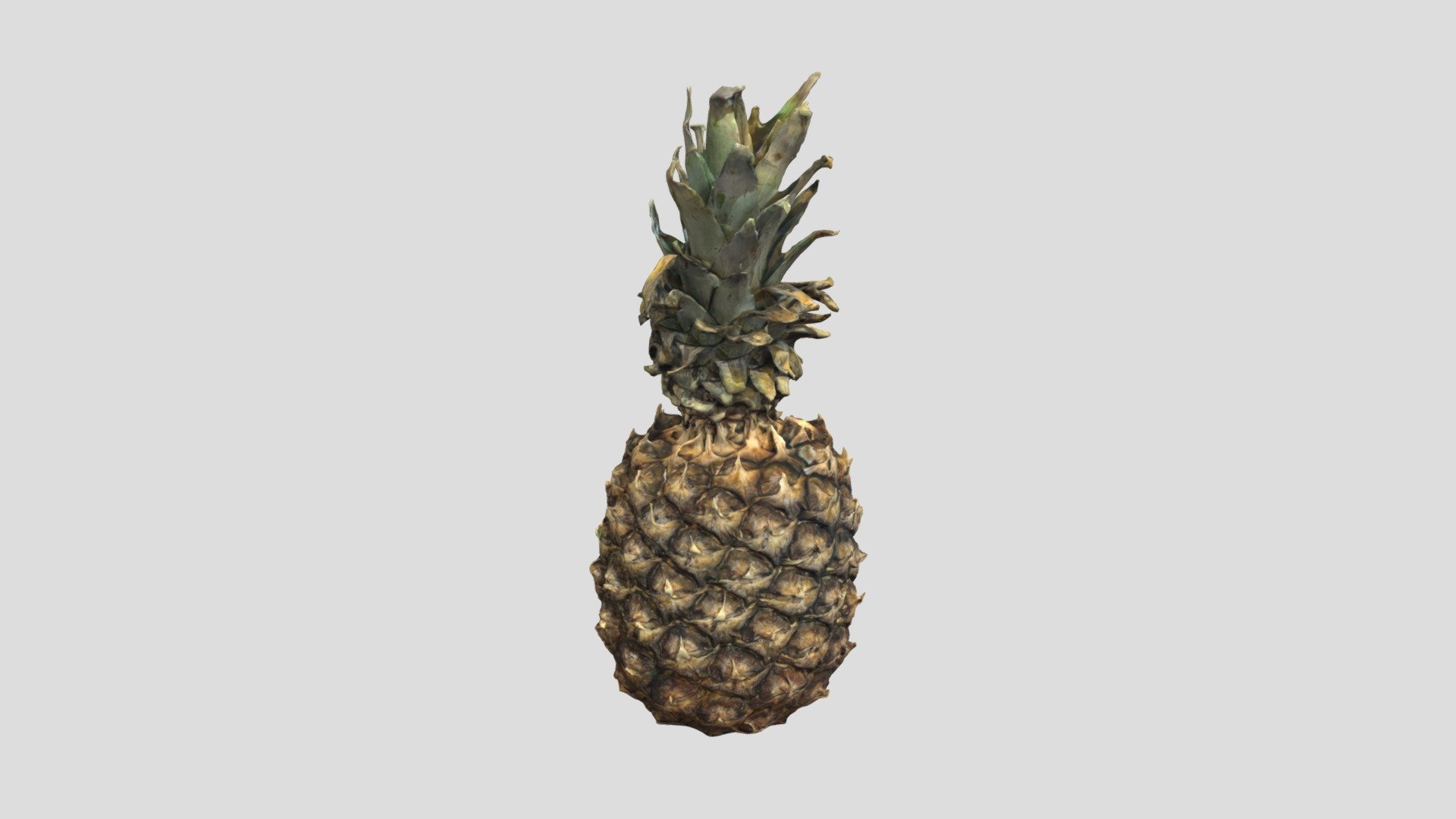 Pineapple - Download Free 3D model by Ben Hustis (@left_shark_3d) [8ba110f] - Sketchfab