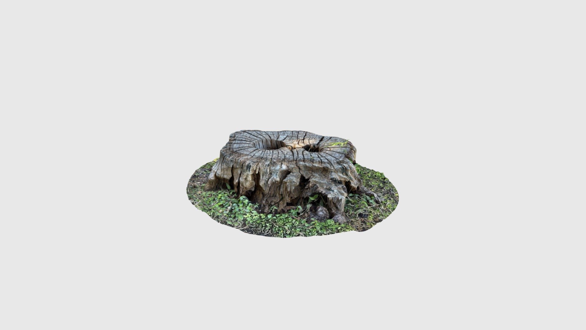 Tree trunk number one - Download Free 3D model by ovenam [8ba2376 ...