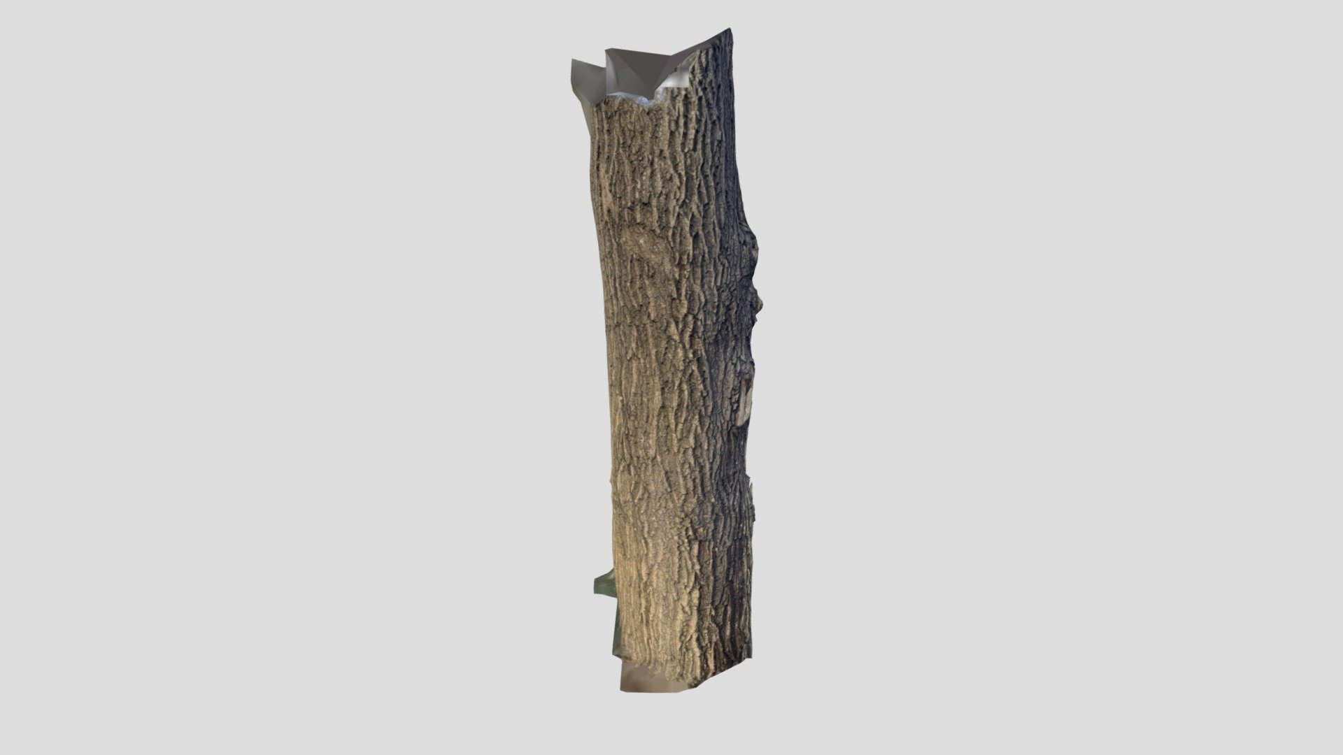 Ash Large 01 - Download Free 3D model by FORESTED (@ScroopeE1) [8ba8f14 ...